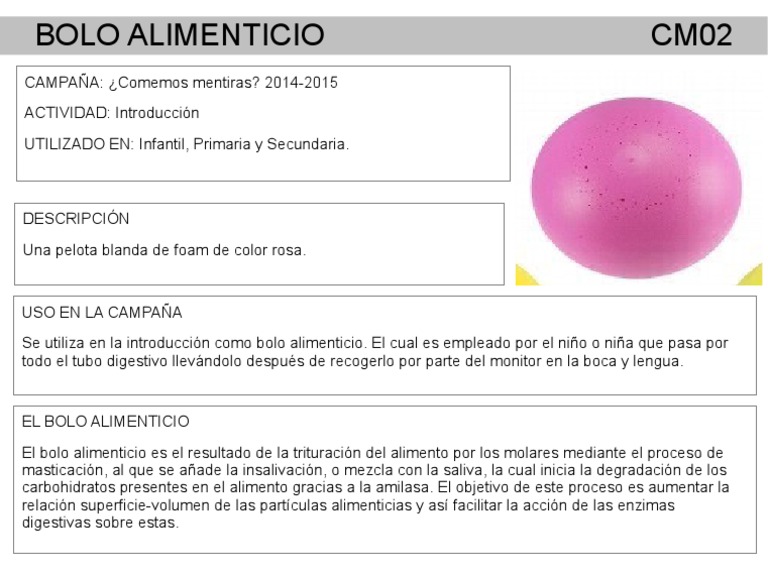 Definición y Uso del Bolo Alimenticio | PDF