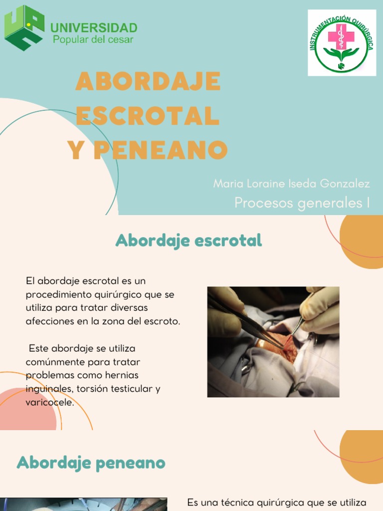 Abordaje Escrotal y Peneano | PDF
