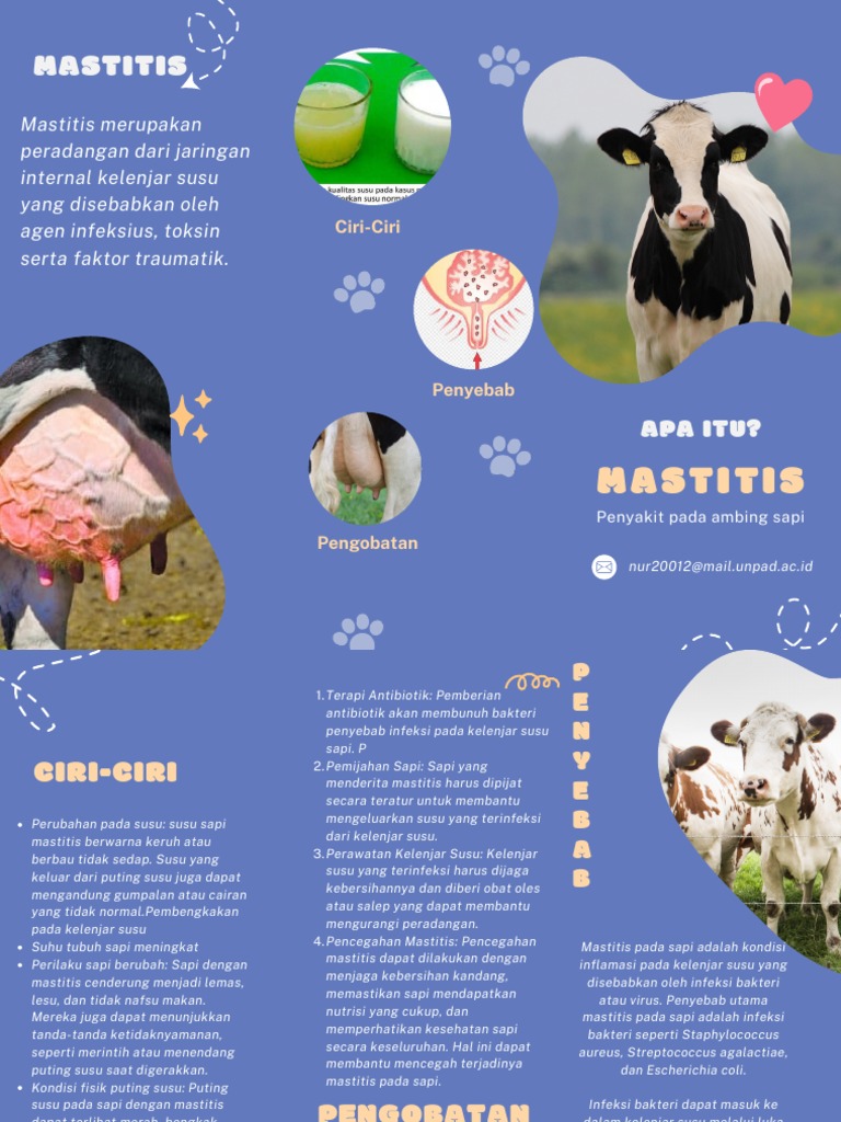 Leaflet Mastitis | PDF