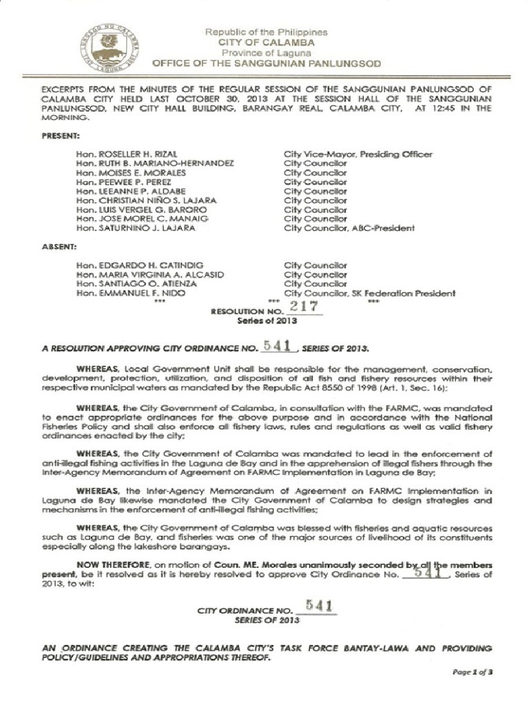 13_217_r_co541_task force bantay-lawa | PDF