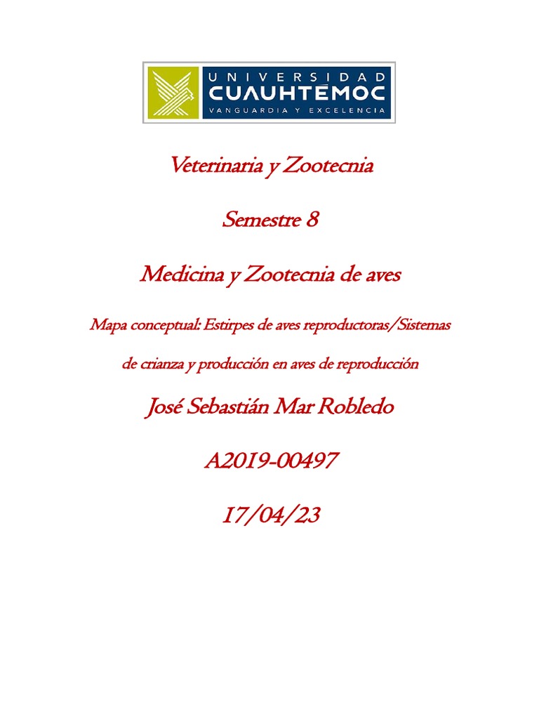 Mapa Conceptual Aves | PDF
