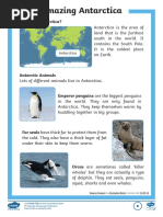Mackintosh Probe Test | PDF | Geotechnical Engineering | Earth Sciences