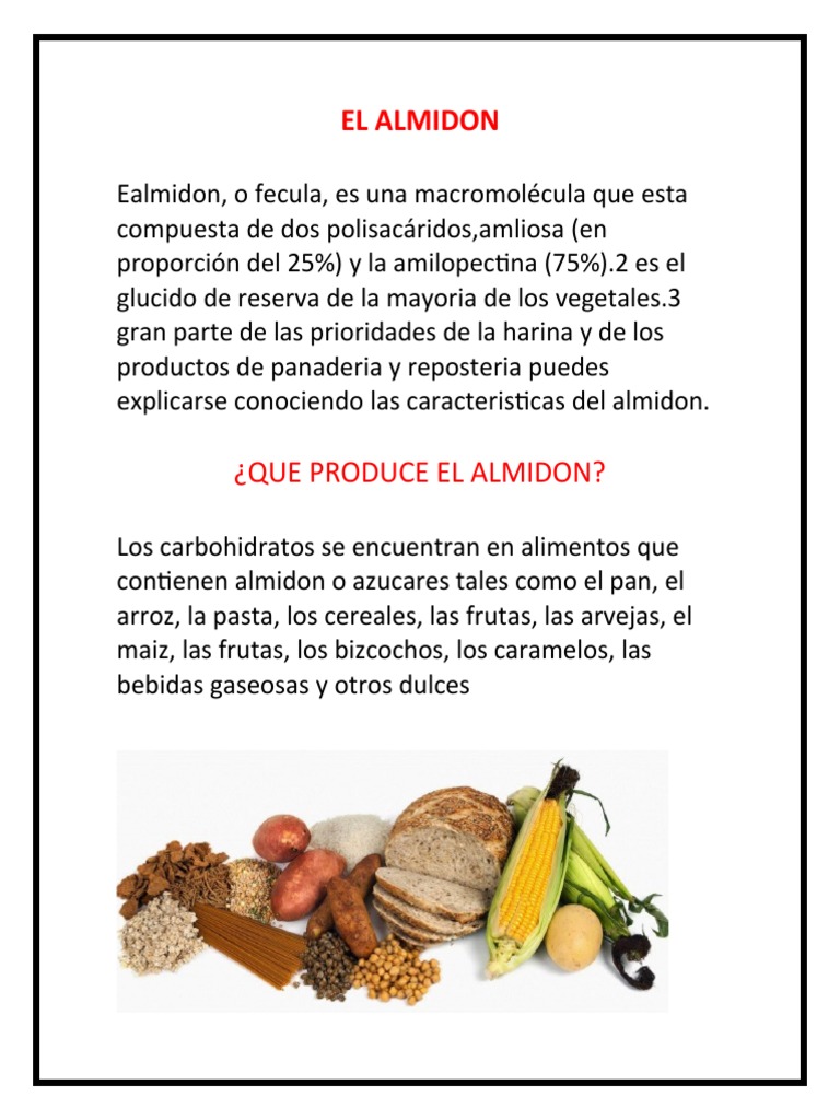 El Almidon | PDF | Almidón | Carbohidratos
