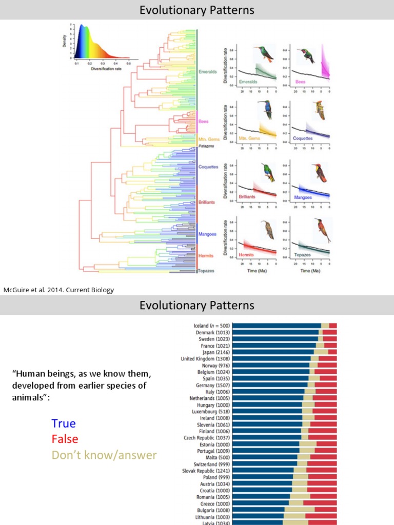 2.evolutionary Patterns | PDF | Biological Evolution | Evolutionary Biology