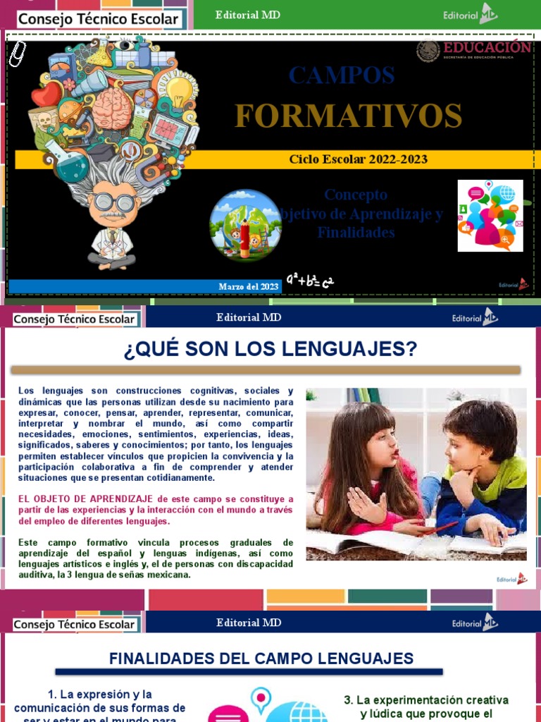 Campos Formativos (Analisis) | PDF | Aprendizaje | Conocimiento