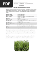 Ichu | PDF | Plantas | Horticultura y jardinería