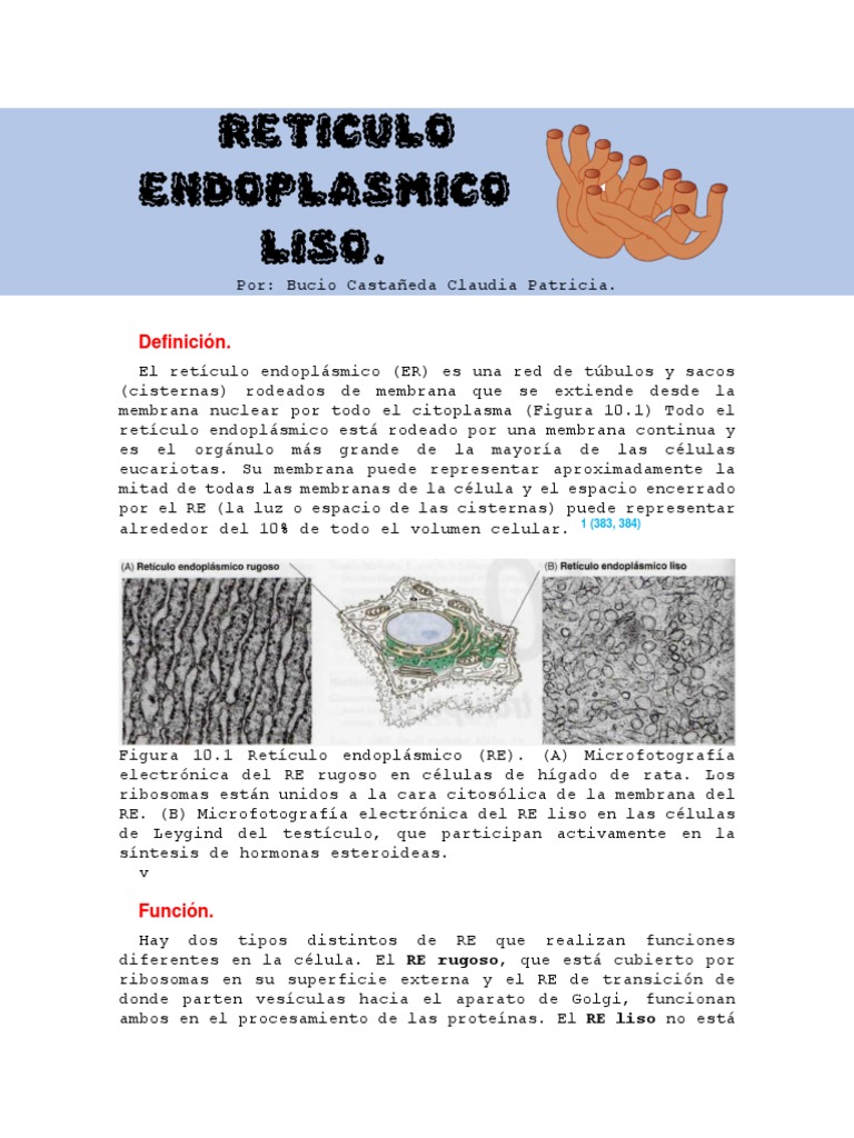 T1. Retículo Endoplásmico Liso | PDF | Retículo endoplásmico | Membrana ...