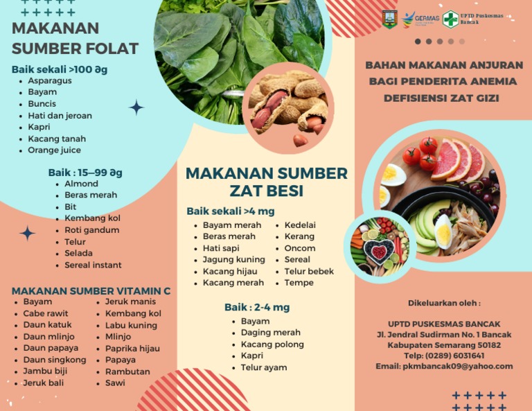 Menu Makanan Sehat untuk Penderita Anemia | PDF