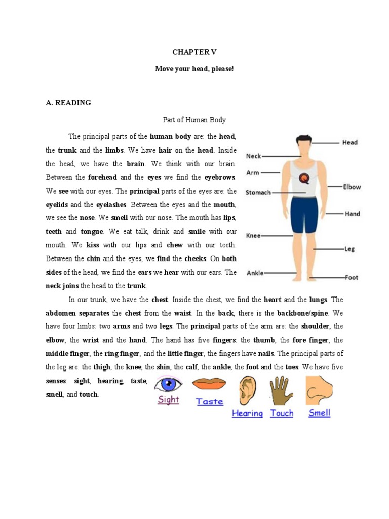 CHAPTER 5 Giving Command (Parts of Body) .. | PDF | Pain | Thorax