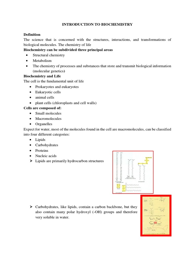 Biochemistry Lecture Notes | PDF | Carbohydrates | Glucose