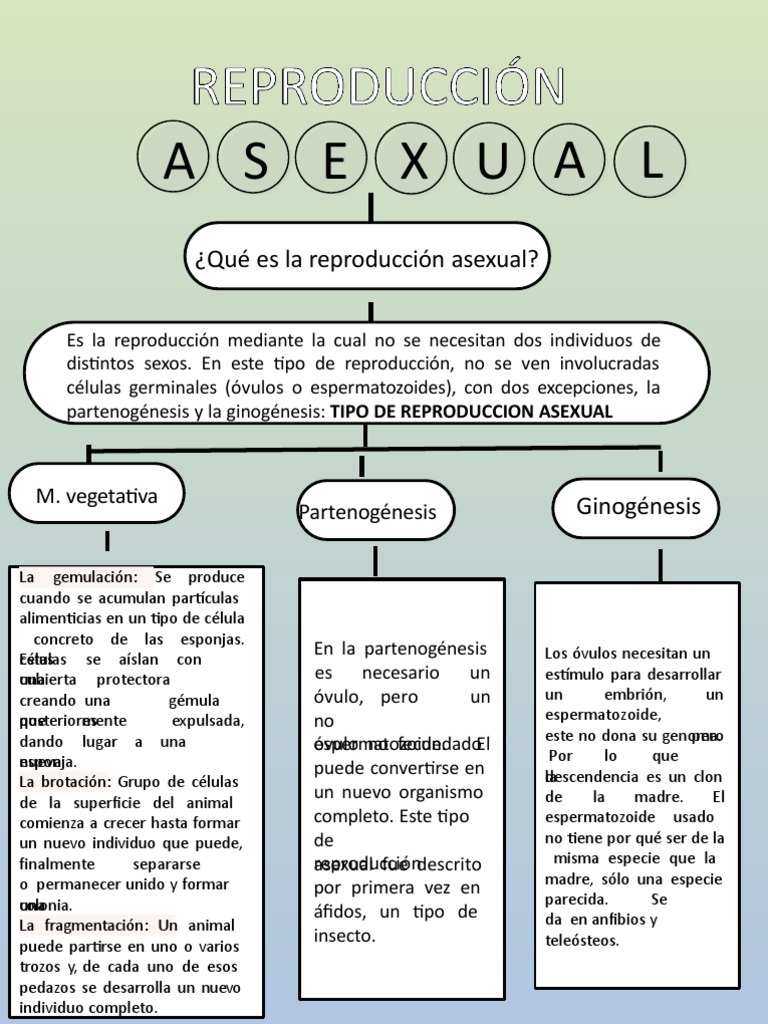 Mapa Conceptual Reproduccion Asexual 3 | PDF | Reproducción | Biologia ...