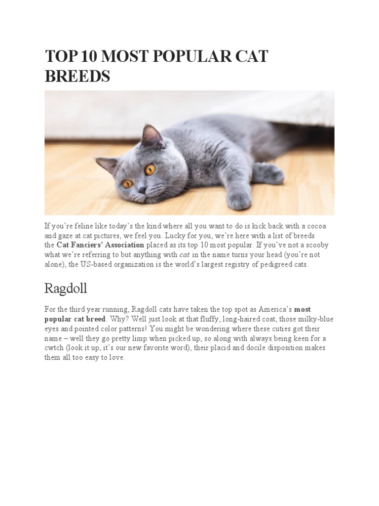 Top 10 Most Popular Cat Breeds | PDF