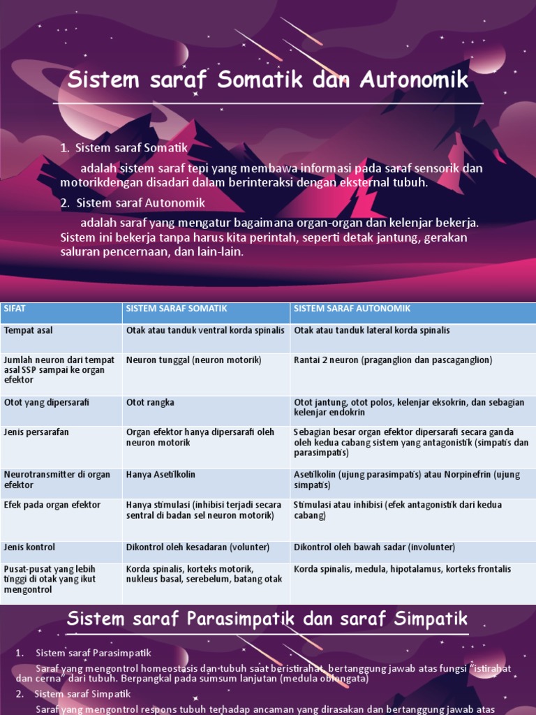Sistem Saraf Somatik Dan Autonomik Pdf 