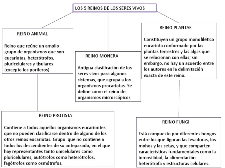 Los 5 Reinos de Seres Vivos | PDF