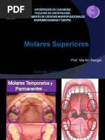 Medio de Transporte Stuart para Cultivo | PDF | Vagina | Mamíferos Hembras