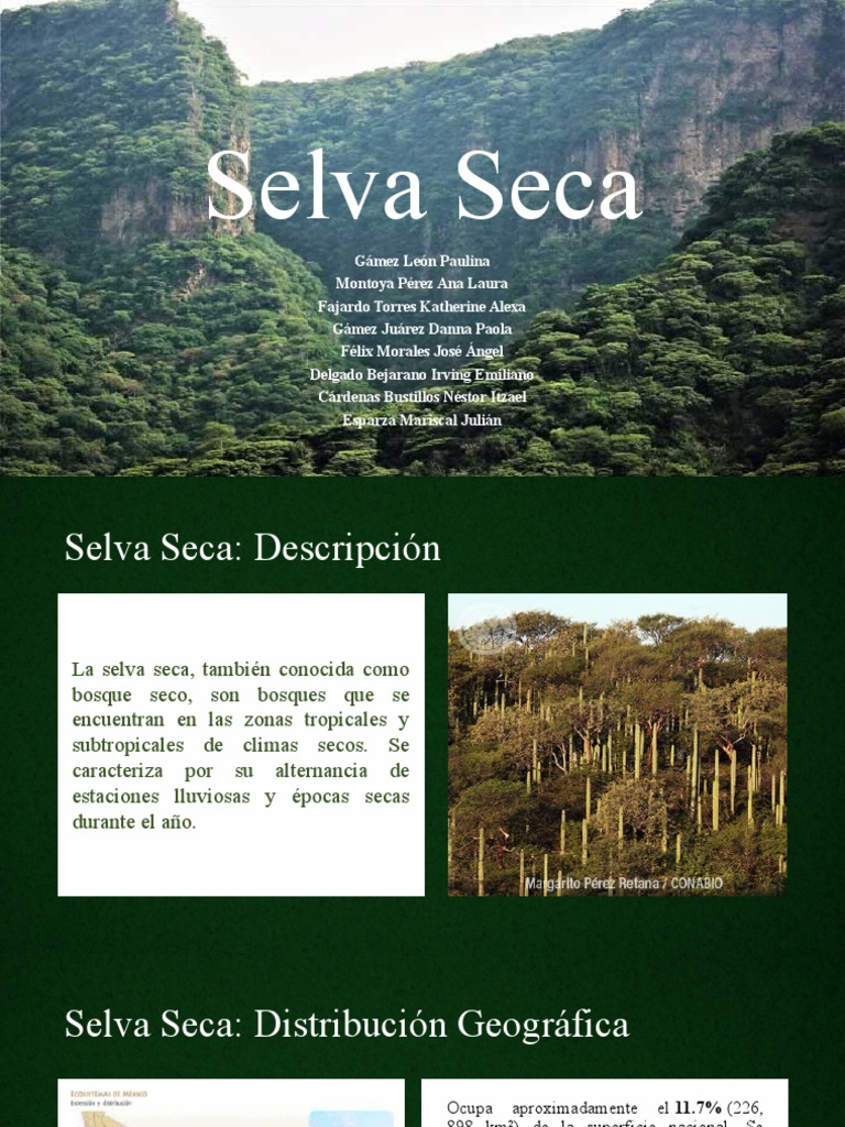 Selva Seca Ecologia | Descargar gratis PDF | Selva | Biogeografia