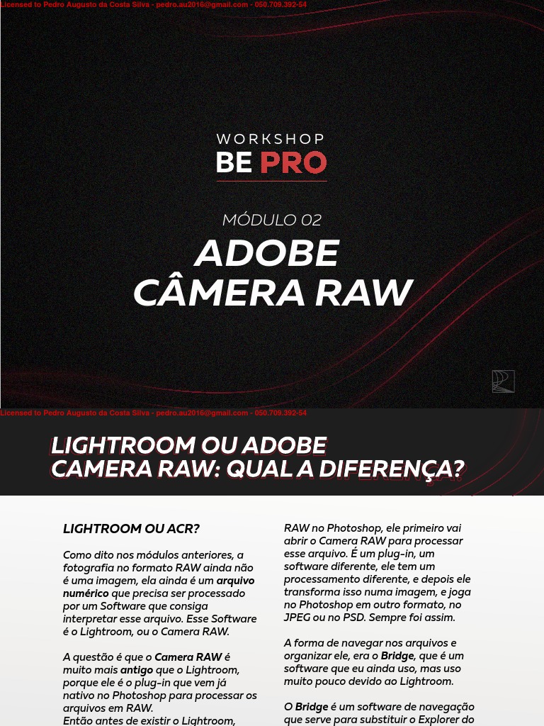 Módulo 3 - Adobe Câmera RAW | PDF
