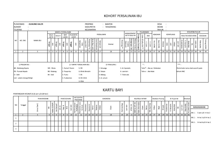 29__Kohort Persalinan | PDF