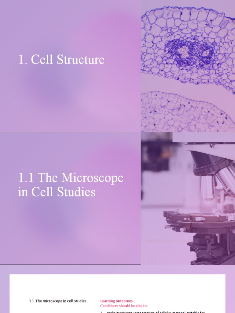 1 Cell Structures | PDF | Angular Resolution | Cell (Biology)