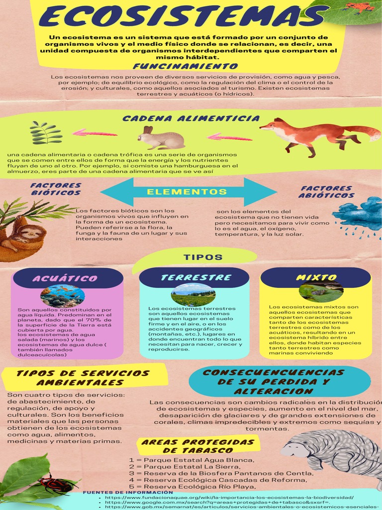 Infografia Ecosistemas Textura de Papel Melon Amarillo | PDF | Ecosistema | Suelo