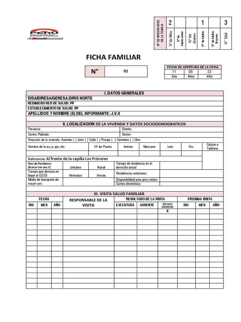 Ficha Familiar | PDF | Familia | Matrimonio
