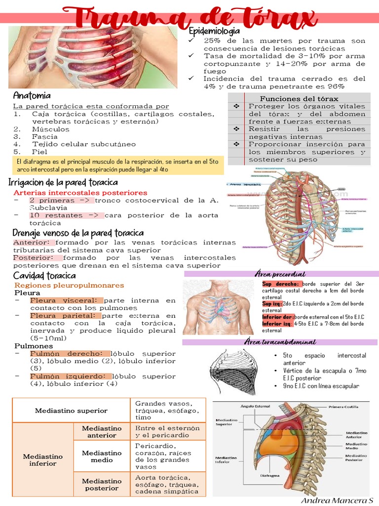 Trauma de Torax - CX | PDF | Tórax | Pulmón