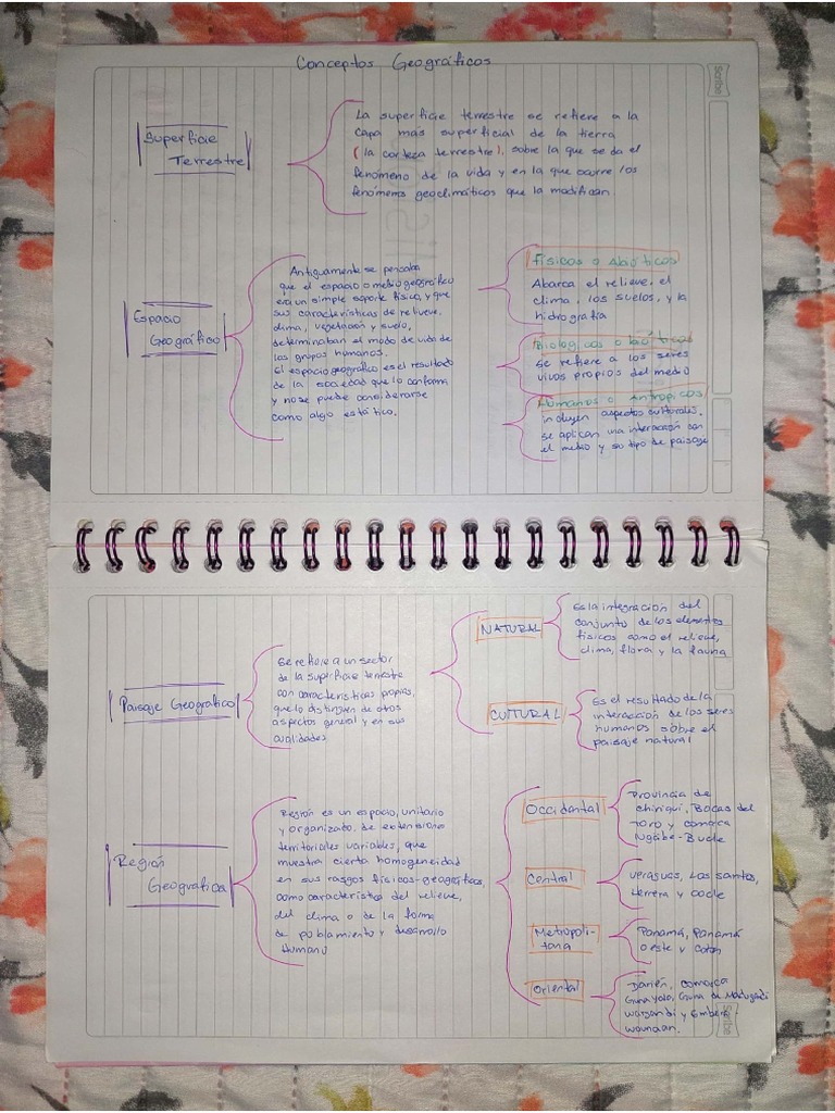 Cuadro Sinoptico | PDF