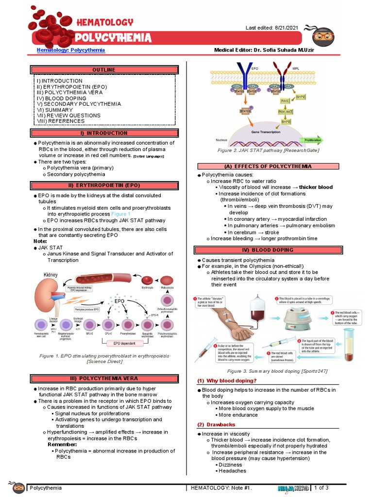 345 - Hematology Physiology) Polycythemias | PDF | Red Blood Cell | Anatomy