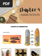 470 Capstick Perspectives | PDF | Firearms | Projectiles