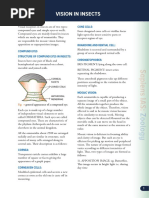 Gundhi Bug Zoo | PDF | Rice | Insects