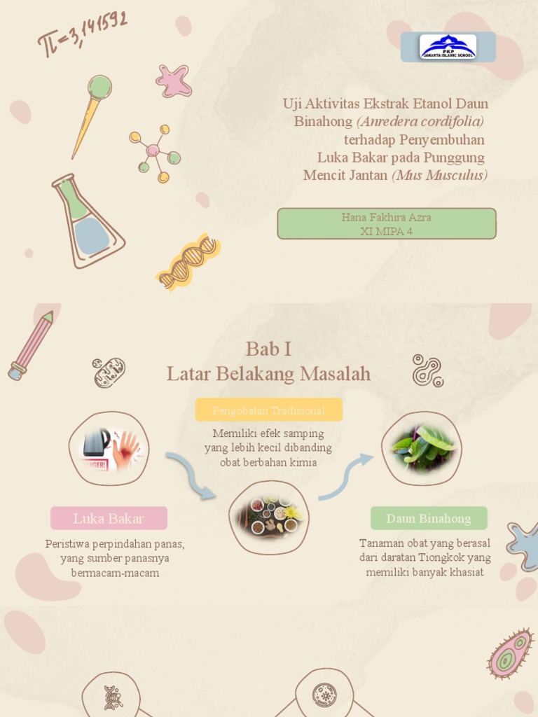 Hana Fakhira Azra | PDF