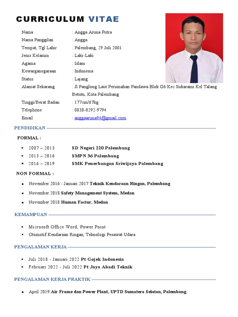 CV Angga | PDF