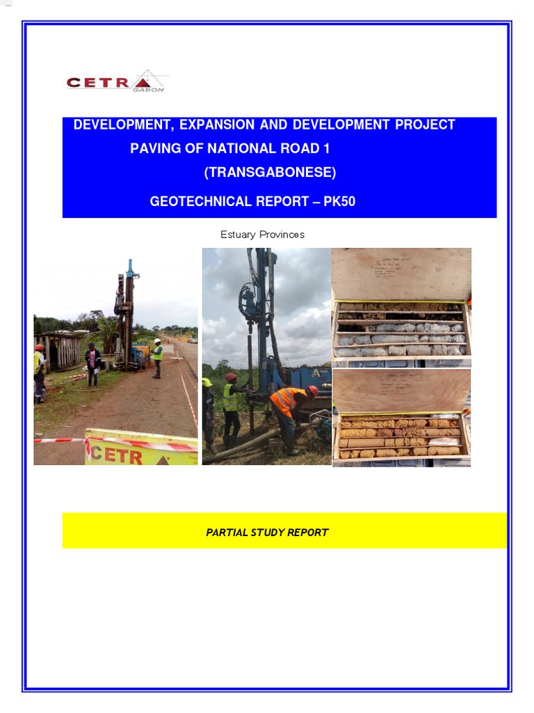 Partial Report | PDF