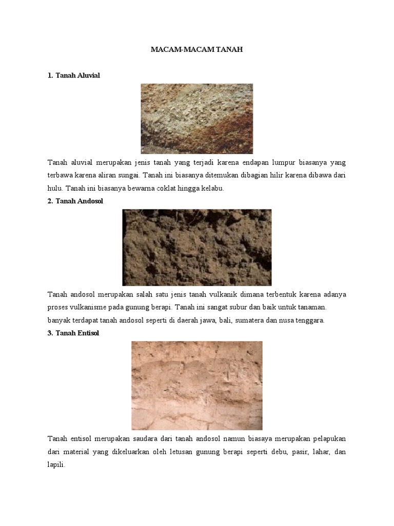 Jenis-Jenis Tanah di Indonesia | PDF