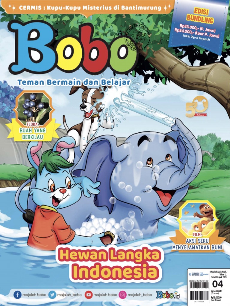 Bobo 04 | PDF