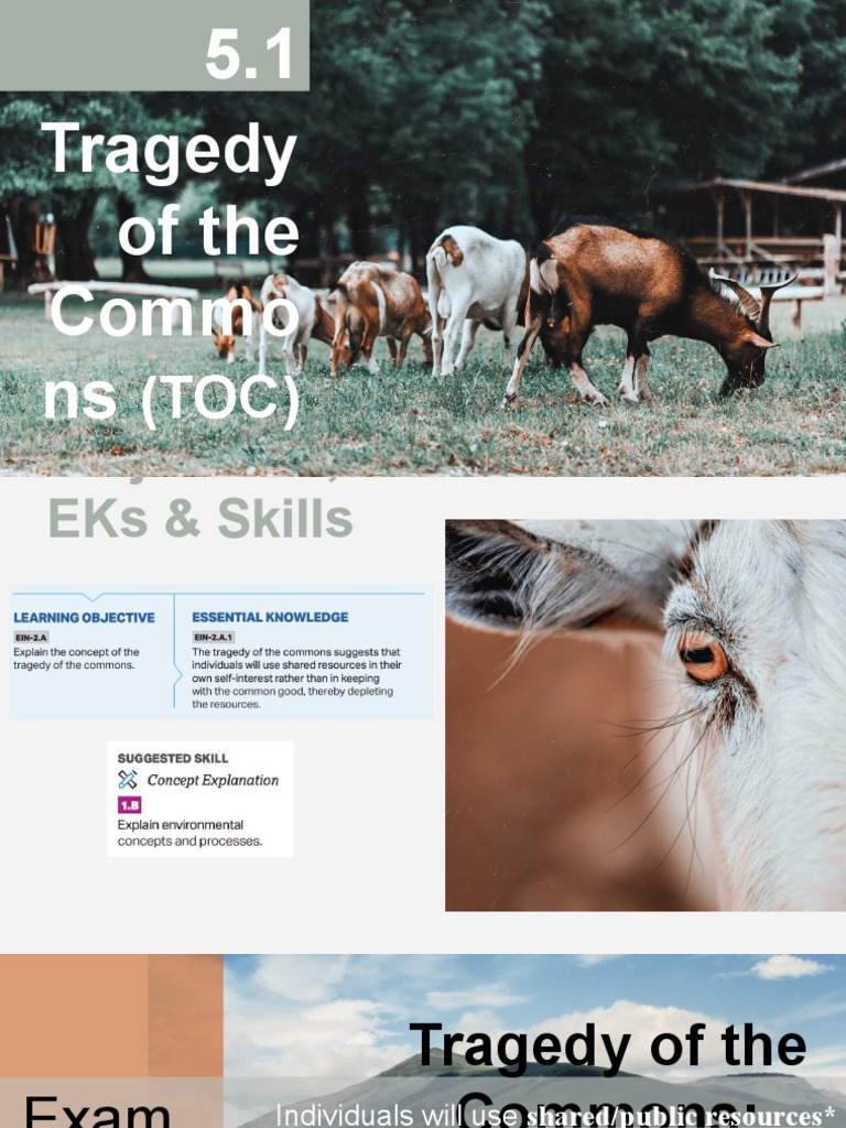 Unit 5 Land and Water Use | Download Free PDF | Agriculture | Soil