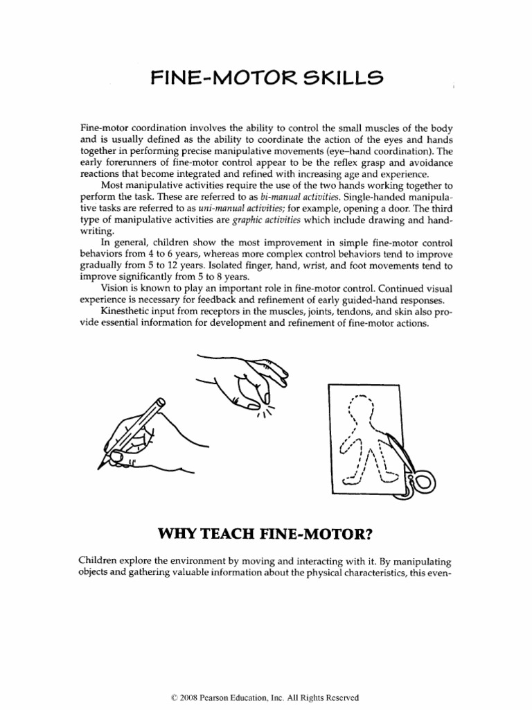 05 Fine Motor Skills | Educational Assessment | Neuropsychological ...