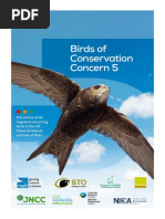Bto Bird Species Codes | PDF