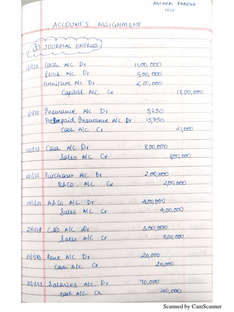 Antara - Accounts - Assignment 1 | PDF