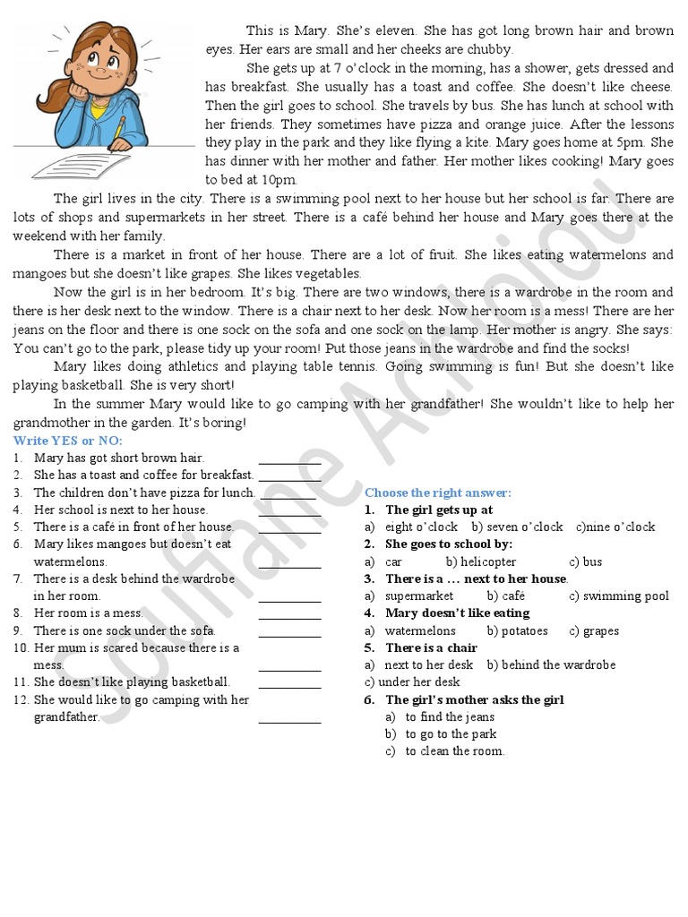 Daily Life of an 11-Year-Old Girl | PDF | Cuisine | Foods