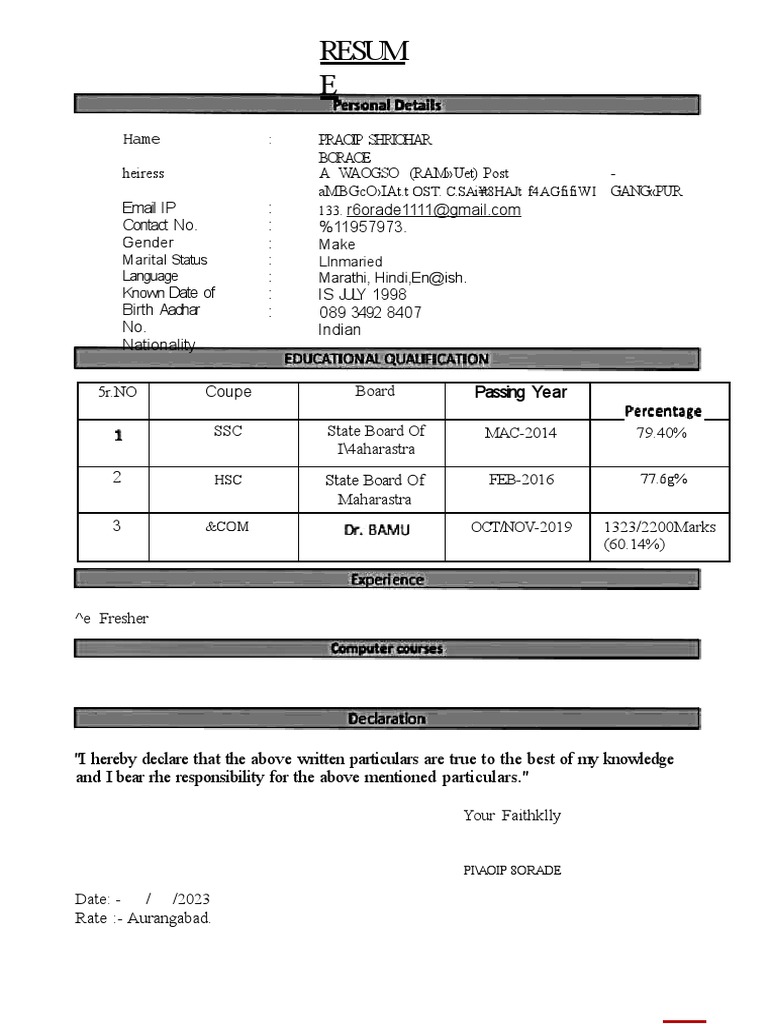 resume Pradip | PDF