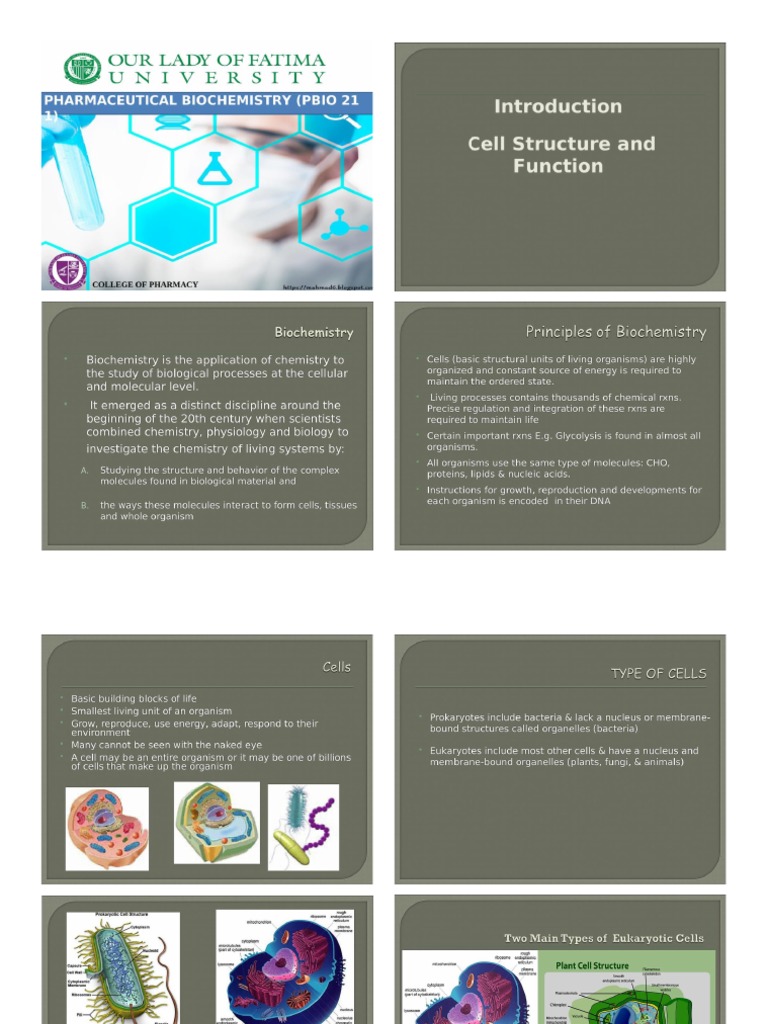 Pbio211-Introduction To Biochemistry | PDF