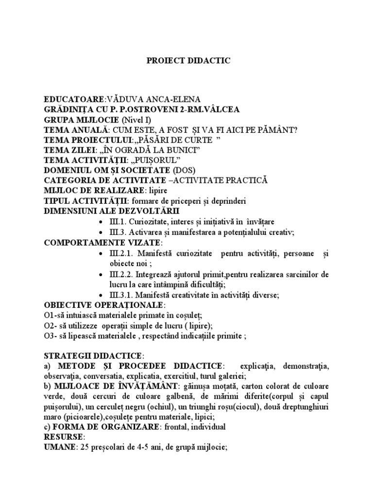 Proiect Didactic Dos | PDF