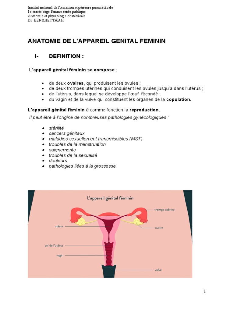 Appareil Génital Féminin COURS | PDF