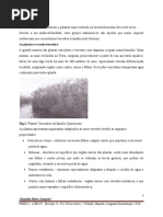 Efectividade 2025 | PDF