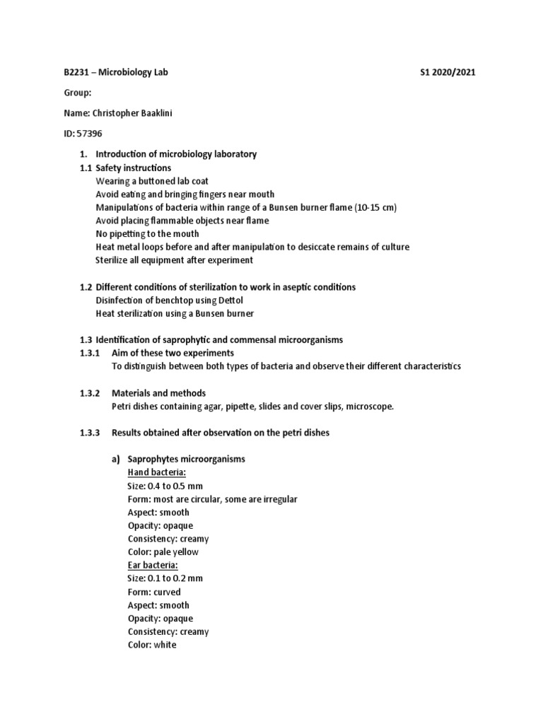 Lab Report | PDF | Bacteria | Microbiology