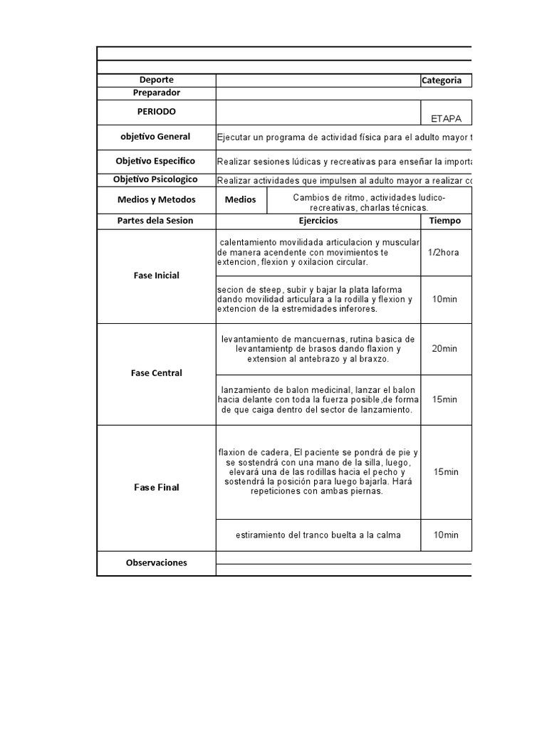 Formato Sesiones Actividad Fisica | PDF