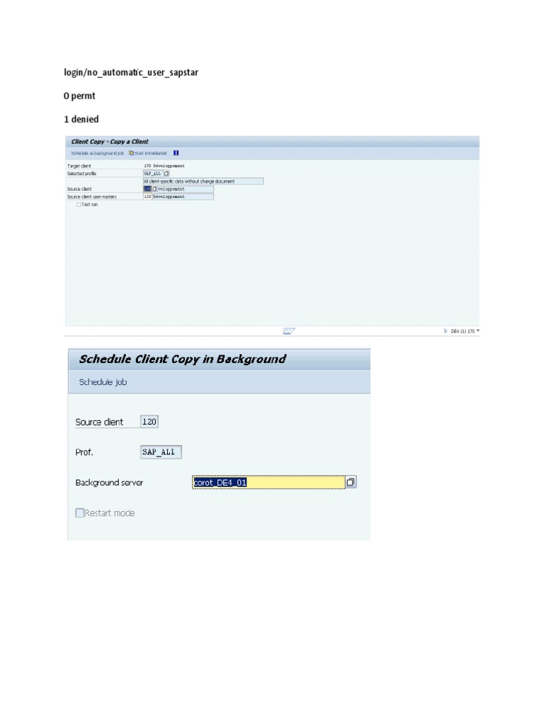 DE4 Client | PDF | Data | Computing