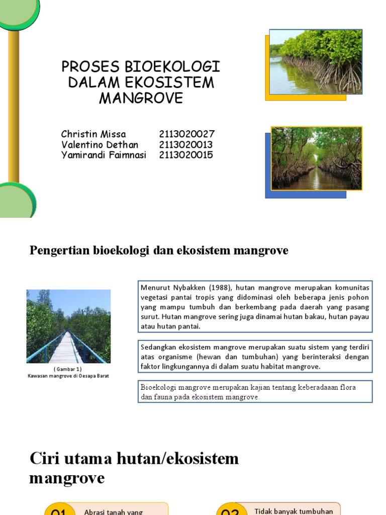 A6 Proses Bioekologi Dalam Ekosistem Hutan Mangrove | PDF