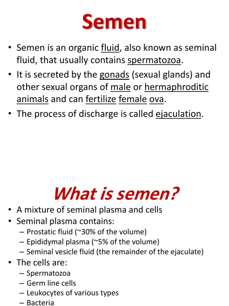 Semen | PDF